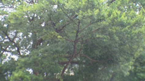 東北季風發威！北台灣周末濕冷有雨 下週三起全台氣溫回升｜四季線上4gtv