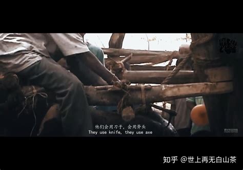 真“象”背后——纪录片《黑象》 知乎