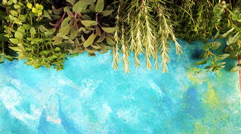 로즈마리와 바 질이 있는 소박한 배경에 자생 하는 향기로운 허브 0명에 대한 스톡 사진 및 기타 이미지 0명 꽃 식물 독일 Istock