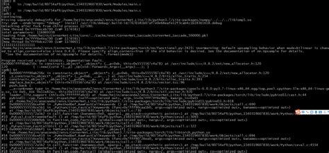 Segmentation Fault Core Dumped · Issue 79 · Princeton Vlcornernet