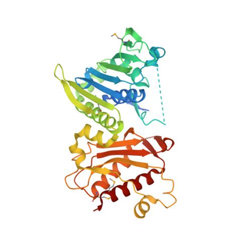 RCSB PDB - 1H7S: N-terminal 40kDa fragment of human PMS2