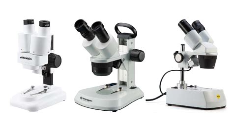 Parts Of Stereo Microscope Dissecting Microscope Labeled Diagram
