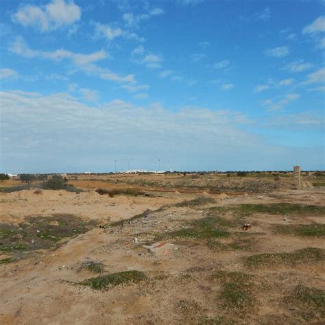 the cemetery of unknown persons in al gatt aya photo valentina