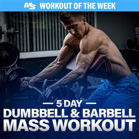 Dumbbell And Barbell Mass Workout Strength Workout Plan Barbell