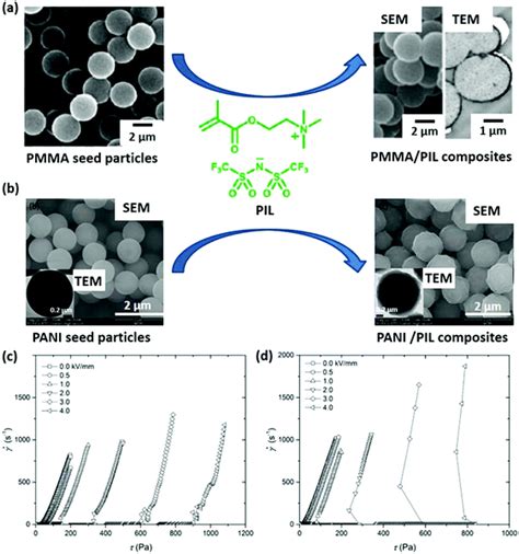 Polyionic Liquid Composites Chemical Society Reviews Rsc Publishing Doi101039c8cs00938d