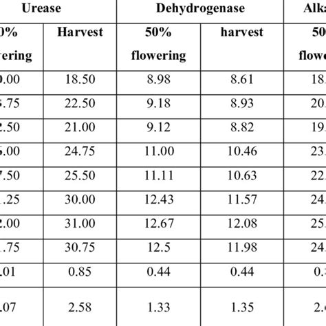 Bacterial Population And Soil Enzyme Activity In The Rhizosphere Of