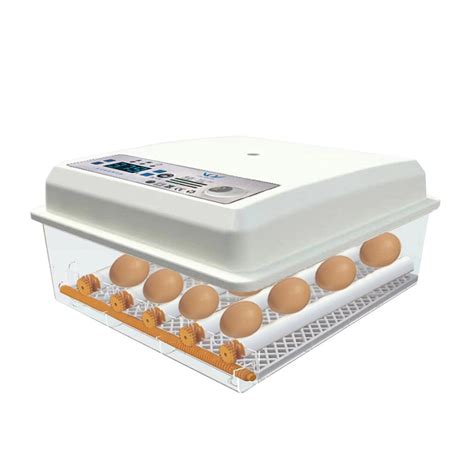 V Eggs Incubator Brooder Bird Quail Chick Hatch Grandado