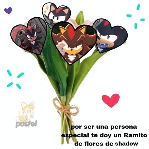 Shadow🖤 Shadow The Hedgehog Sonic And Shadow Shadow Pictures