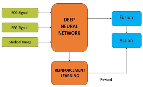 Hybrid Deep Reinforcement Learning For Multimodal Biomedical Signal Fusion