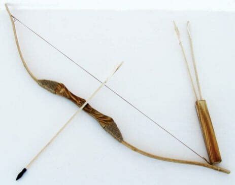 How To Buy A Bow Ultimate Beginner S Guide