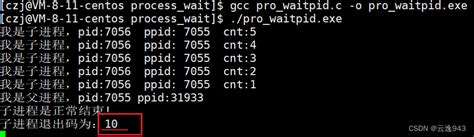 Linux——进程的等待linux 等待 Csdn博客