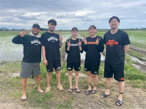 新潟アルビレックスbbラビッツ Niigataalbirexbb Rabbits • Instagram Photos And Videos