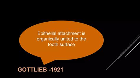 Dento Gingival Junction Pptx