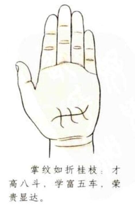 有此手相非富則貴 每日頭條