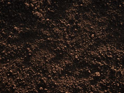 Understanding Soil Conditions And Their Impact On Foundations