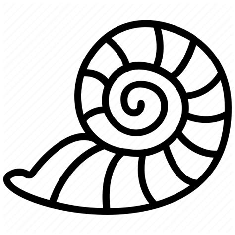 Snail Shell Drawing Free Download On ClipArtMag