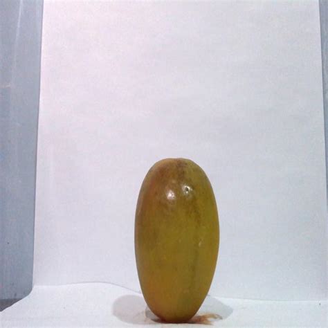 Tomato Sorter Classification Dataset By Tomatosorter