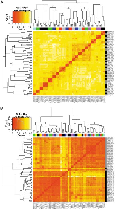 Heat Maps Of The Distance Matrix Representing The Pairwise Distances