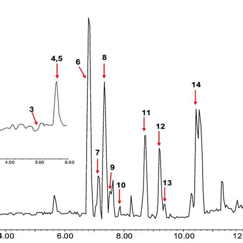 Hplc Q Tof Quadrupole Time Of Flight Chromatogram Of Etoac Fraction Download Scientific