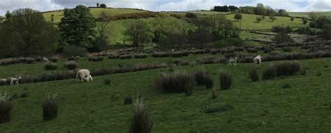 19a – Activity In Retirement (AIR) Macclesfield.