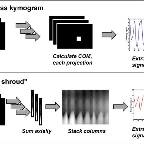 Algorithms For Two Example Data Based Breathing Signal Extraction