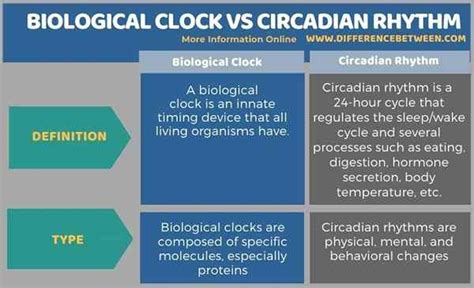 Perbedaan Antara Jam Biologis Dan Ritme Sirkadian Prodiffs