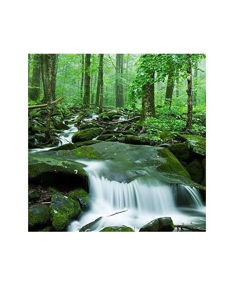 Perfume Equivalencia 002 Tienda De Cosmética Natural En Segovia