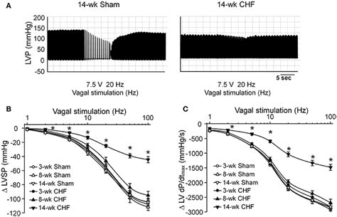 Frontiers Correlation Of Ventricular Arrhythmogenesis With Neuronal Remodeling Of Cardiac