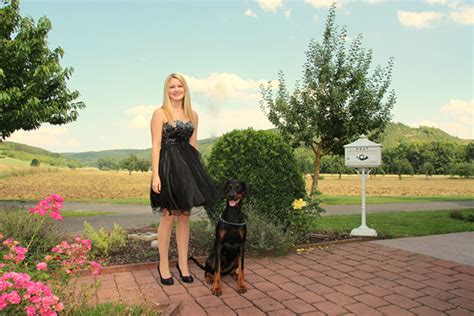 Dobermann Hündin In Österreich Dobermann Female