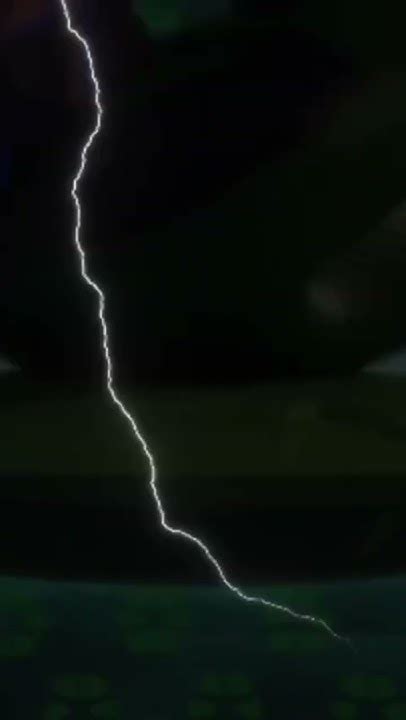 Carapace Transformation My First Edit Youtube
