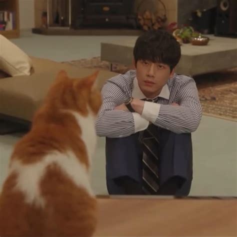 ボード「sakakento」のピン【2024】 髪型 セット メンズ 坂口健太郎 金髪 キューティーズ