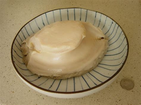 Predicting The Age Of An Abalone Using A Ridge Regression For By