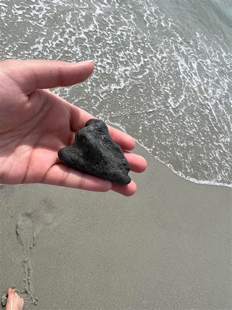 Could This Be A Fossilized Shark Tooth R Sharks
