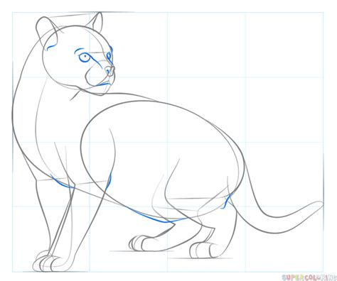 Як намалювати оцелота поетапно Уроки малювання для початківців