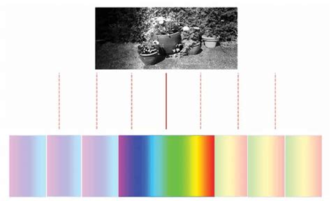 Relative Movement Between The Camera And Object Enables 3d