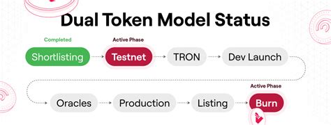 Beginner S Guide To Verasity VRA Crypto