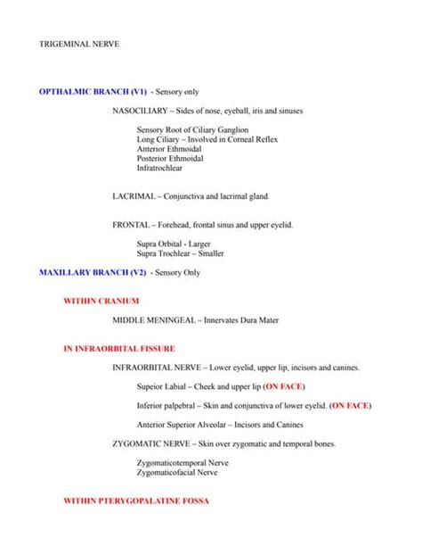 The Trigeminal Nerve Doc