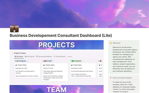 Business Developement Consultant Dashboard Lite Template Notion