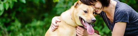 Lost And Found Pets In Adelaide RSPCA South Australia