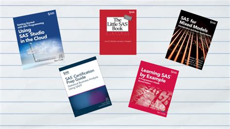 Top 5 SAS Books For Babes SAS Users