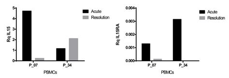 Il15 And Il15ra Gene Expression Analysis In Pbmcs From Acute And Download Scientific Diagram