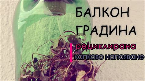 Градина от пластмасови бутилки с капково напояване Youtube