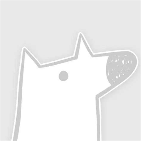 Colab的pytorch环境下使用tensorboard实现可视化 知乎