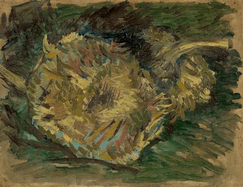 Girasoles Que Se Convirtieron En Semilla Museo Van Gogh