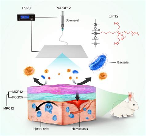 schematic illustration of mpc12 nanofiber composite membrane design