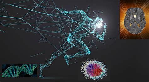 Imaging Computational And Systems Biomedicine Sjtu School Of