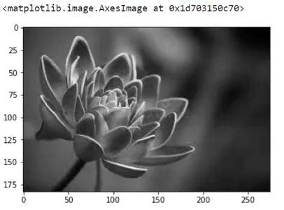 Getting Started With Image Processing Using OpenCV Plato Data