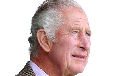 Heres How King Charles Iii Is Holding Up In His First 48 Hours As