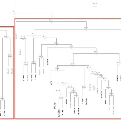 Hierarchical Clustering Of Action Verbs Based On Tasa Adjacency Matrix