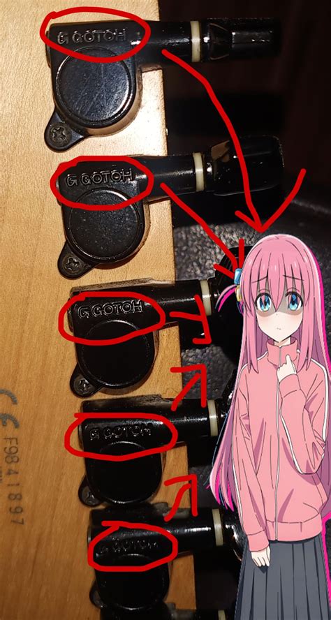 Gig bag, this exact one : r/BocchiTheRock